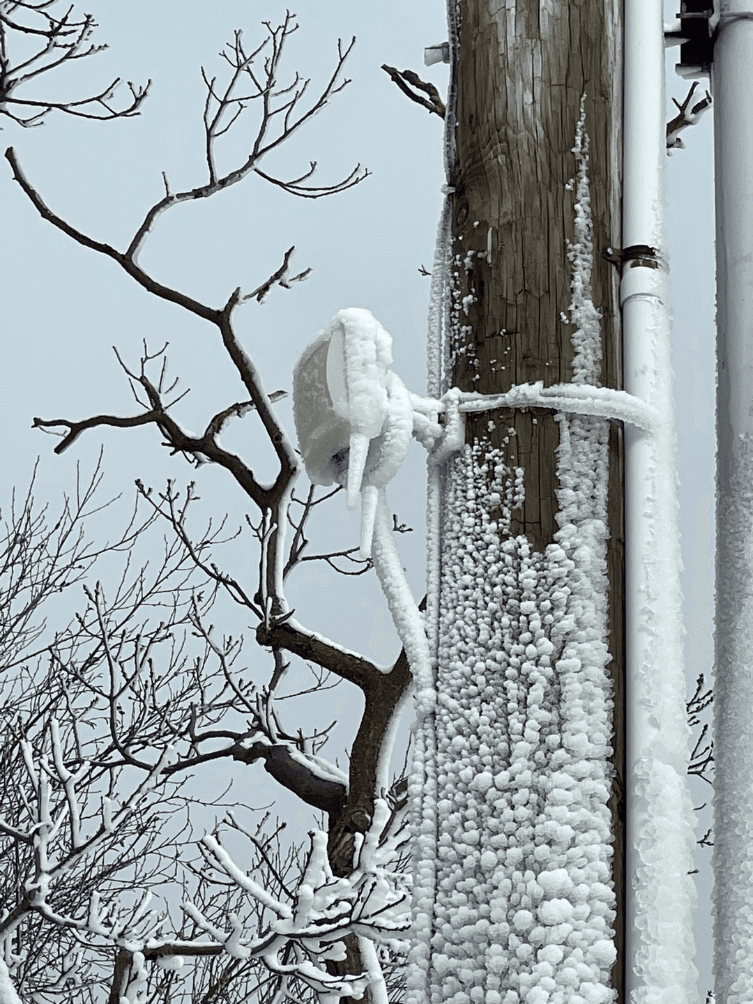 XNET - Enterprise-Grade DePIN Wireless Infrastructure